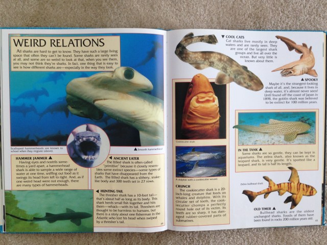 Sea Creatures, “Books to Sea” | kidsbook friends
